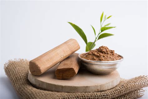 Sandalwood กลิ่นไม้หอมกรุ่น ที่อุดมสารพัดประโยชน์ Urban Senses Thailand