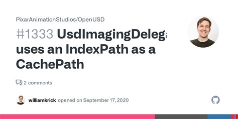 Usdimagingdelegateinvokeextcomputation Uses An Indexpath As A