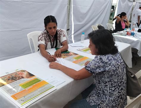 Media En Conflictos El Centro De Justicia Alternativa Nvi Cuenca