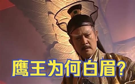 倚天人物志白眉鹰王究竟是一个怎样的人物 昆多崩姿那 昆多崩姿那 哔哩哔哩视频