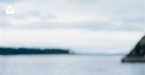 검은 재킷을 입은 사람이 갈색 니트 모자를 쓰고 낮에 바다를 바라보고 있다 사진 Unsplash의 무료 미국 이미지