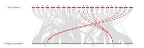 物种间共线性分析染色体不显示字母 组学大讲堂问答社区