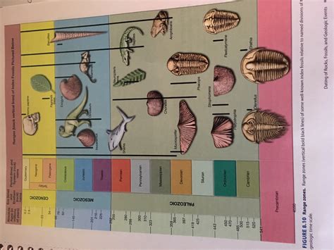 solved 1 what index fossils from figure 8 10 are