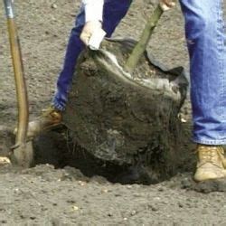 Root Control Bag Large Large Bags Bags Mulberry