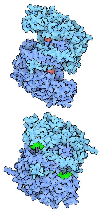 Citrate Structure Titanium Citrate