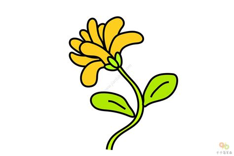 风中摇曳的菊花简笔画 菊花简笔画