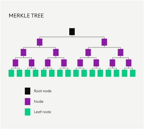 understanding how merkle trees benefit blockchains