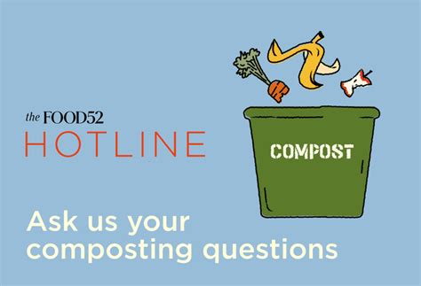 Composting Curious We Answer All Your Questions