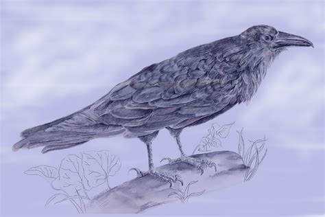 Lisa Coddington Teaches Art Workshop At Peec