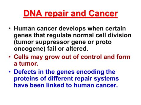 Lecture 2 Dna Repair Genetic Code And Mutation Ppt