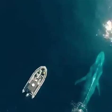 Sunit Bhowmick Posted On Linkedin