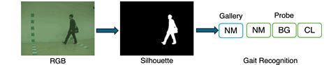 Robustgait Robustness Analysis For Appearance Based Gait Recognition