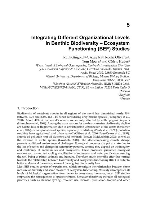 Pdf Integrating Different Organizational Levels In Benthic