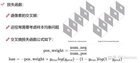 图像分割 Unet系列算法 知乎