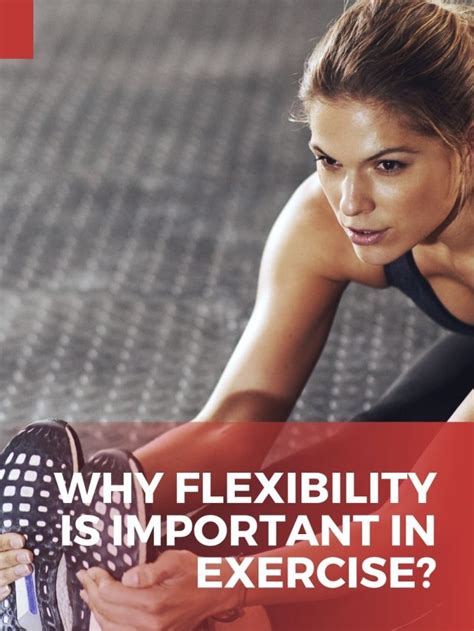 Why Flexibility Is Important In Exercise Fitness Fit