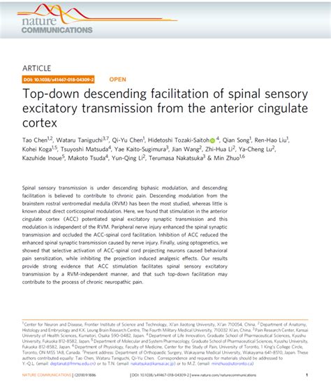 前沿院卓敏课题组在中枢痛觉调控通路方面有全新发现 西安交通大学前沿科学技术研究院