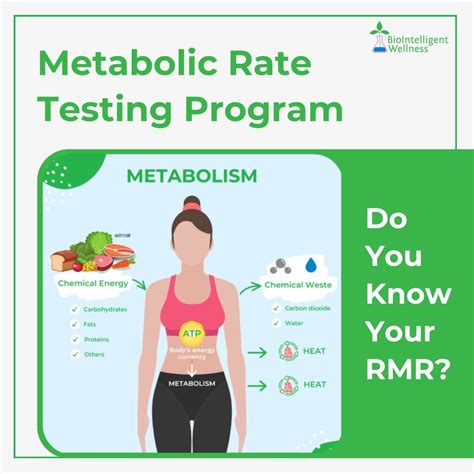 Metabolism Test Or Resting Metabolic Rate Testing And It S Benefits Artofit