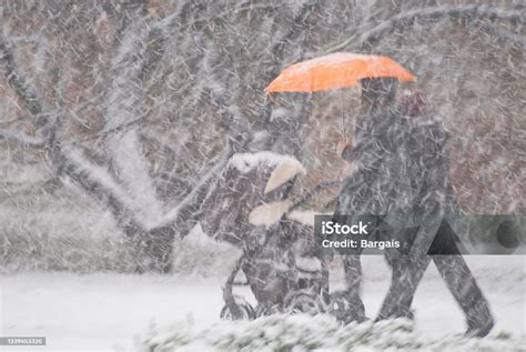 겨울 눈보라 속에서 유모차와 오렌지색 우산을 들고 공원을 산책하는 사람들 3 명에 대한 스톡 사진 및 기타 이미지 3 명 거리 검은색 Istock