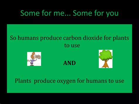 Photosynthesis Ppt Pptx Chemistry Science