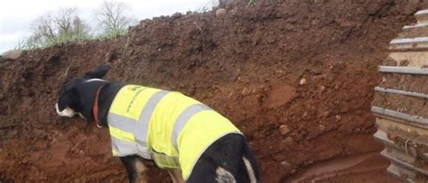 Geotechnical Consultancy Ruddlesden Geotechnical