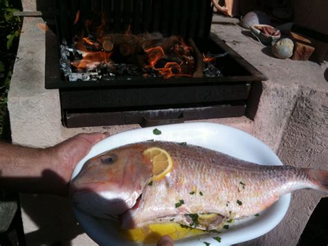 Comment Bien Choisir Son Poisson