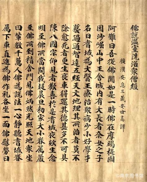 98岁古籍大佬在互联网火了每天工作九小时喝酒吃肉两不误 凤凰网