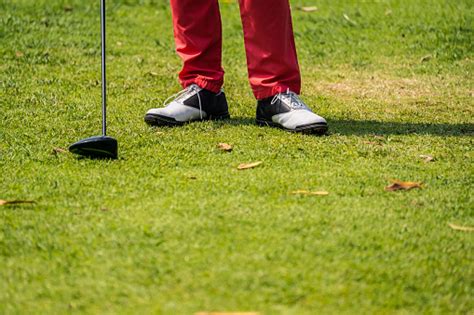 골퍼 컨셉용 골프 코스 그린에 골프볼 그린 잔디 밭 코스에 퍼팅 창의적인 그래픽 디자인의 흐릿한 배경 1에 대한 스톡 사진 및