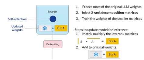 What Rank R And Alpha To Use In Lora In Llm Fine Tuning By Farty Pants Medium