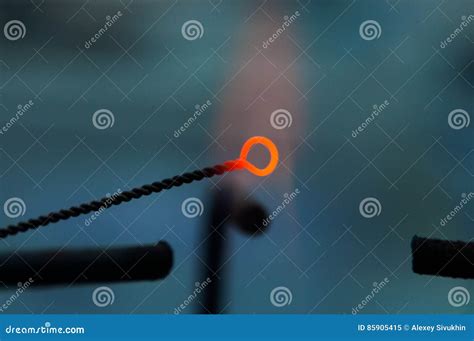 Microbiological Inoculation Loop Being Heated In A Spirit Lamp Flame