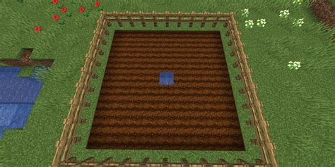 Minecraft Everything You Need To Know About Growing Crops
