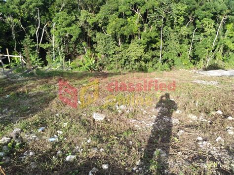 For Sale 1 4 Acre Of Land Hopewell