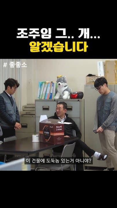 좀도둑을 잡자 개를 하나 키우자 좋좋소 Youtube