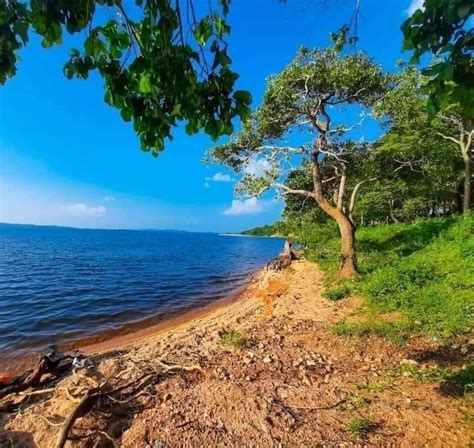 රජරට අනුරාධපුර ️ අපේ පුරේ සෙට් එක [අ][නු][රා]ධ][පු][ර]වැව්බැදිරාජ්‍යය