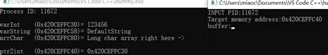 C Access Violation Reading Locationit Made Me Confused Stack