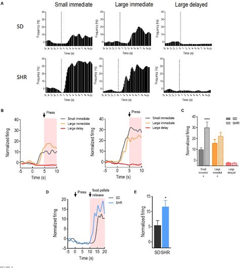 Figure 1 From The Distinct Role Of Orbitofrontal And Medial Prefrontal Cortex In Encoding