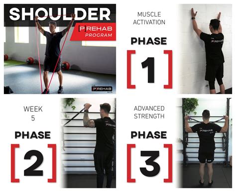 Improve Scapula Control [𝗣]𝗥𝗲𝗵𝗮𝗯