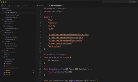 Introducing Golang Development Felipe Fontana Posted On The Topic Linkedin