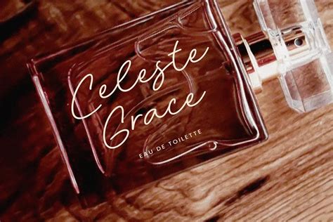 Benjamin Kingdom Font Free Script Typeface Creativetacos