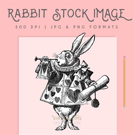 Alice In Wonderland Clipart Rabbit Image Rabbit Clip Art Rabbit Printable Instant Download