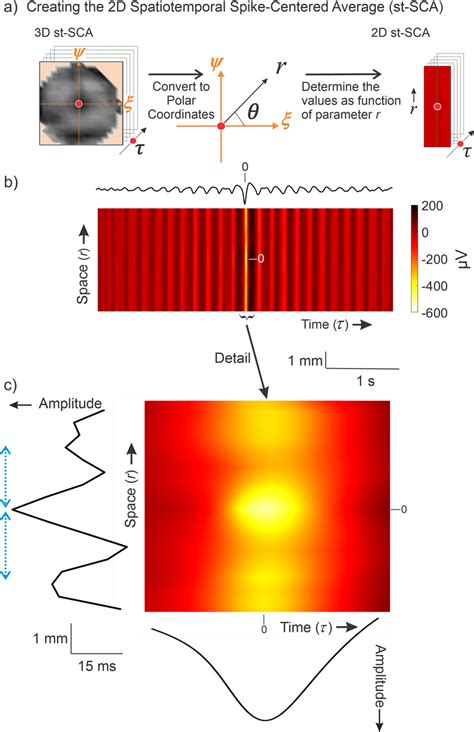 The Method To Compute The 2d Spatiotemporal Spike Centered Average Download Scientific Diagram