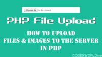 Get Address From Latitude And Longitude Using Google Maps Api And Php Codexworld
