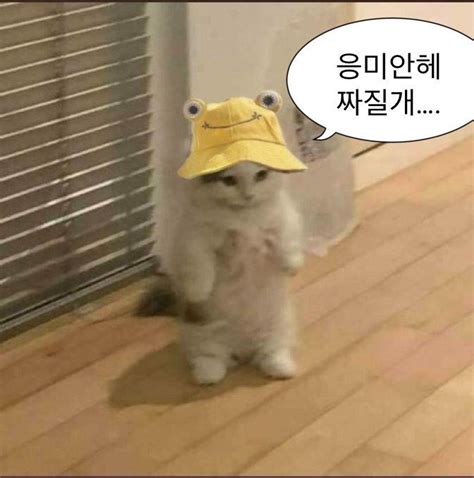 짤에 있는 핀