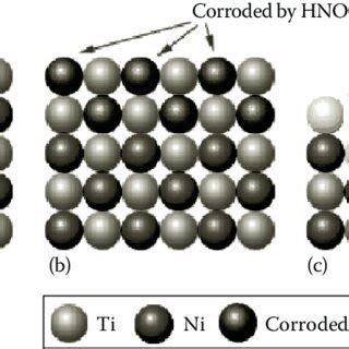Schematic Illustration Of The Formation Of A Protective TiO Layer Download Scientific