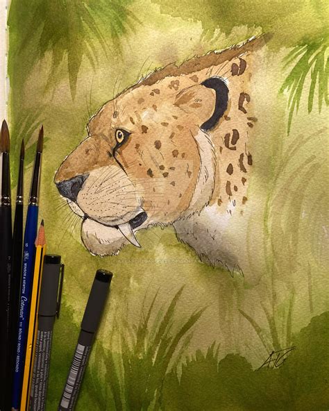 Sabertooth Cat By Atlasthegargoyle On Deviantart