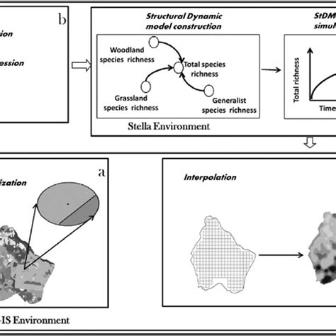 The General Framework Of The Spatially Explicit Stdm And The Steps Download Scientific Diagram