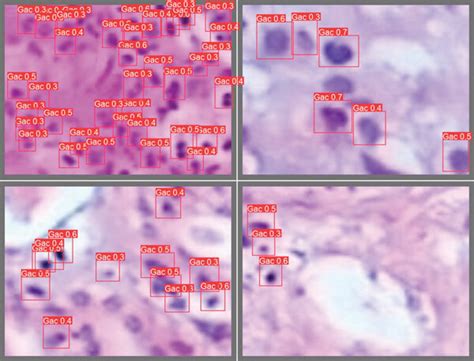 light colored batch test results download scientific diagram