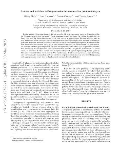Pdf Precise And Scalable Self Organization In Mammalian Pseudo Embryos