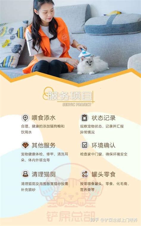 珠海宠物上门喂养服务 知乎