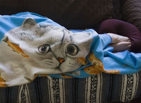 Napping With Kitty Shutterbug