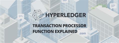 Hyperledger Composers Transaction Processor Function Explained Skcript